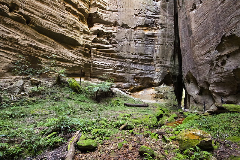 5 Best Road Trips in Australia | KAYAK SG