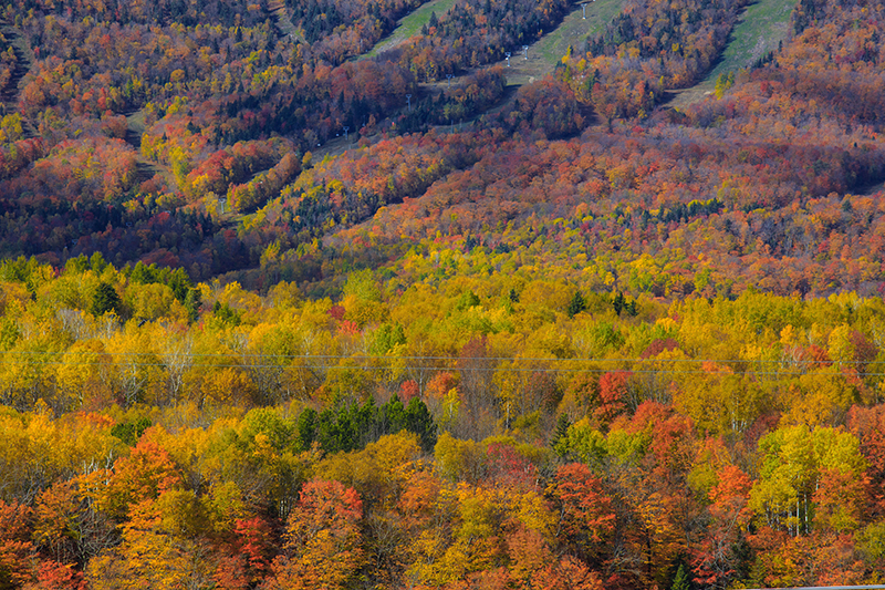 Experience Autumn Around The Globe: 10 Best Spots For Fall Foliage